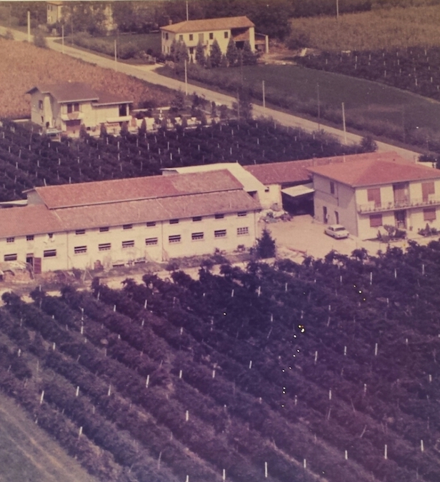 Chi Siamo - Società Agricola Callegaro