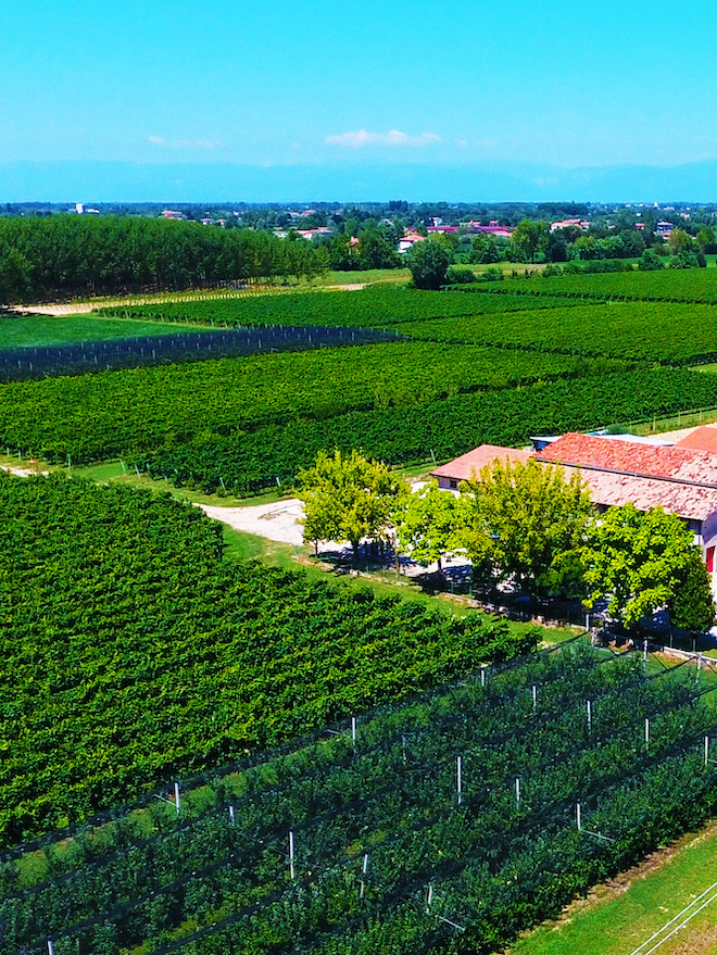 Chi Siamo - Società Agricola Callegaro